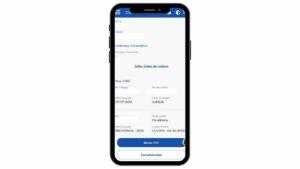 Saiba consultar o NIS (Número de Identificação Social): guia 2024